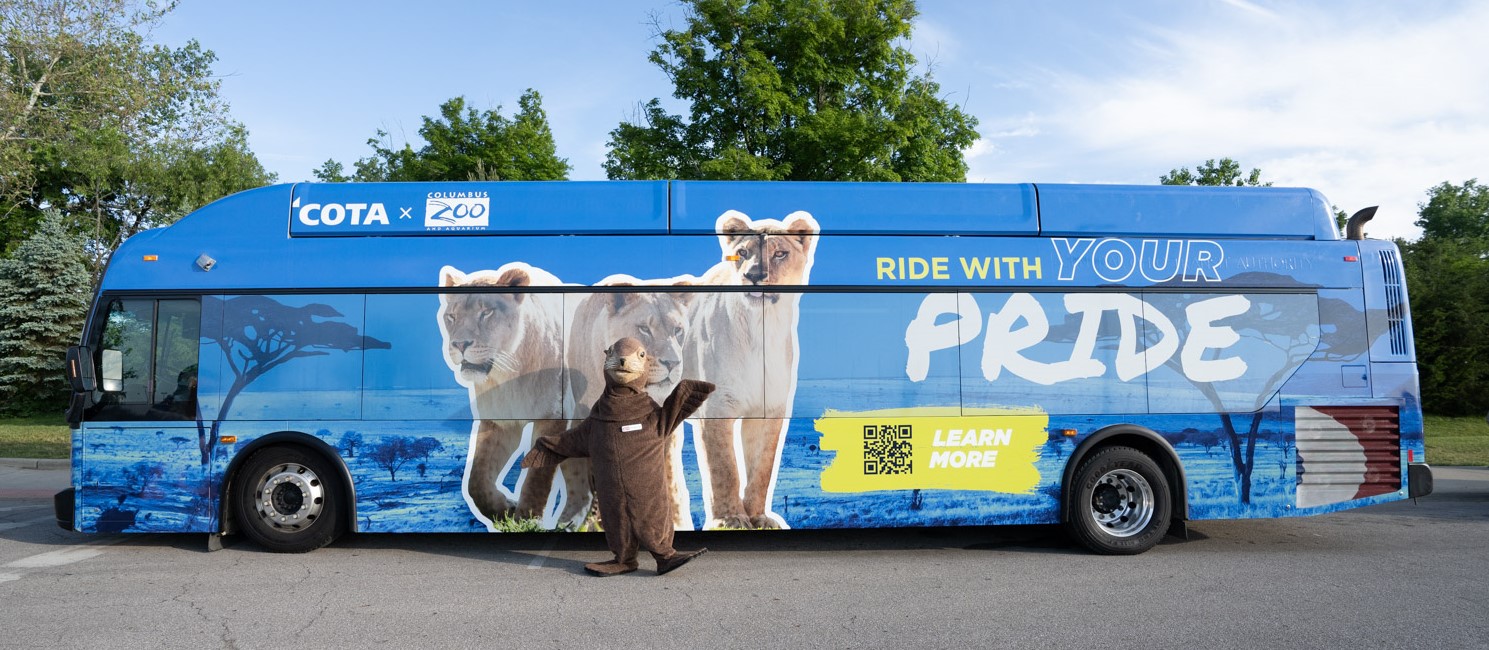 Know Before You Go | Zoombezi Bay