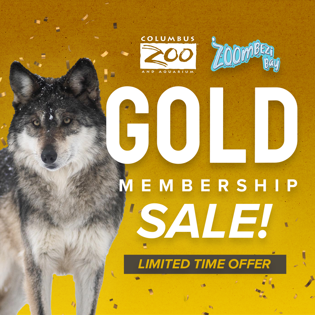 Discounts | Zoombezi Bay